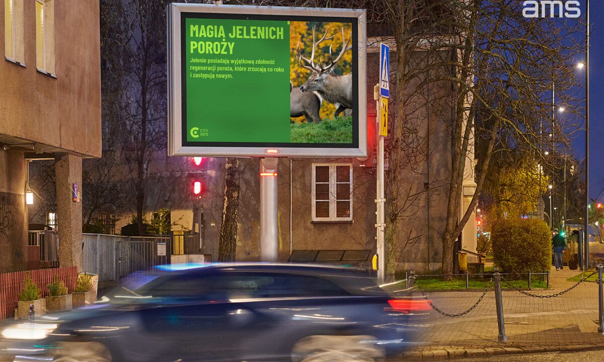 Digital Cityscreen - przy skrzyżowaniach w mieście | ams.com.pl
